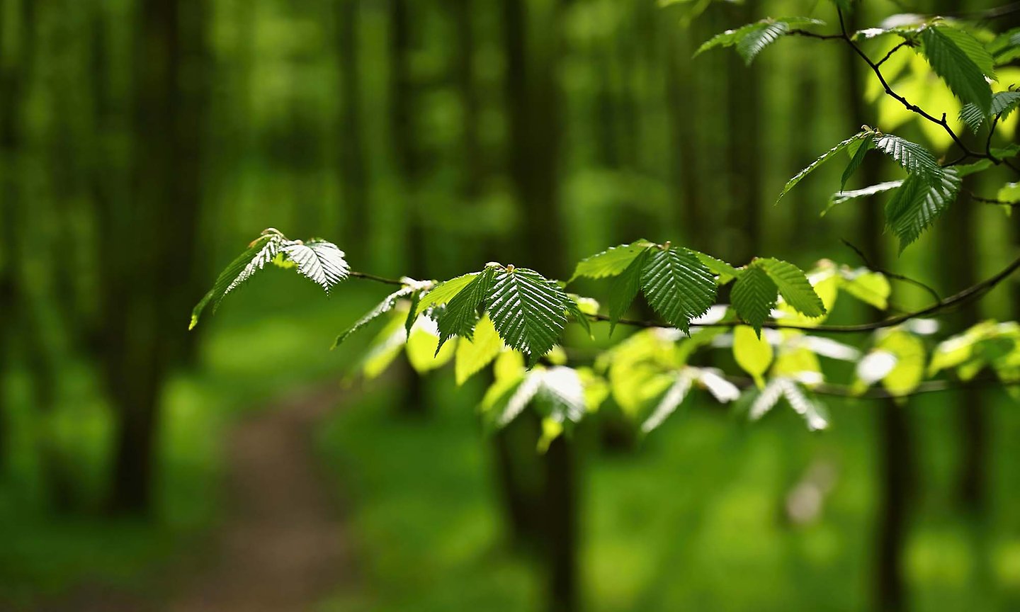 Sustainability Report 2023 | Eltwin